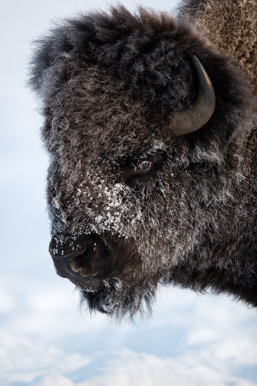 Frost | Smithsonian Photo Contest | Smithsonian Magazine