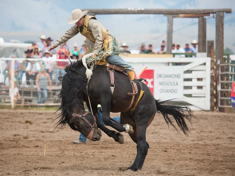 Bronco riding at Helmville Rodeo | Smithsonian Photo Contest ...