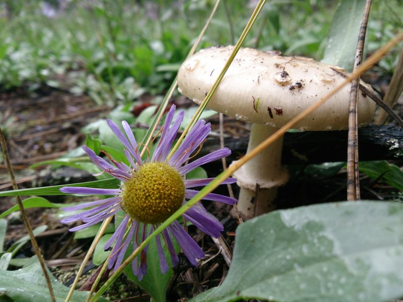 Hiking in Talpa, New Mexico | Smithsonian Photo Contest | Smithsonian ...