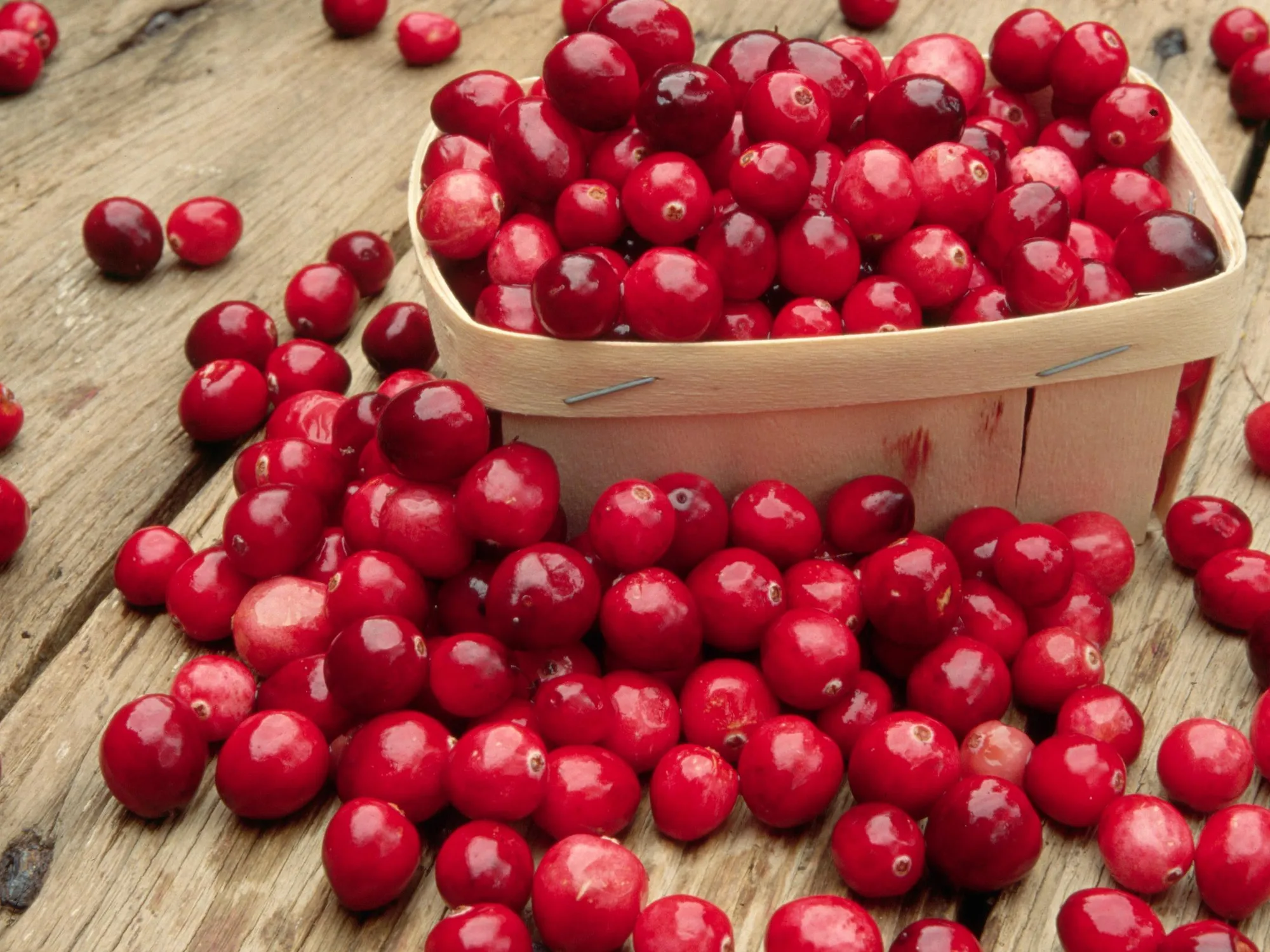 A Brief History of Cranberries