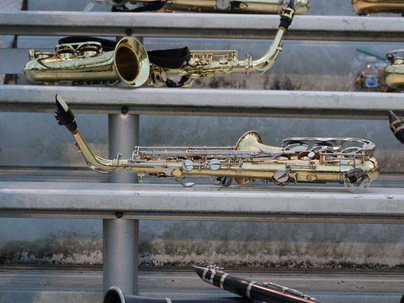 Band Break | Smithsonian Photo Contest | Smithsonian Magazine