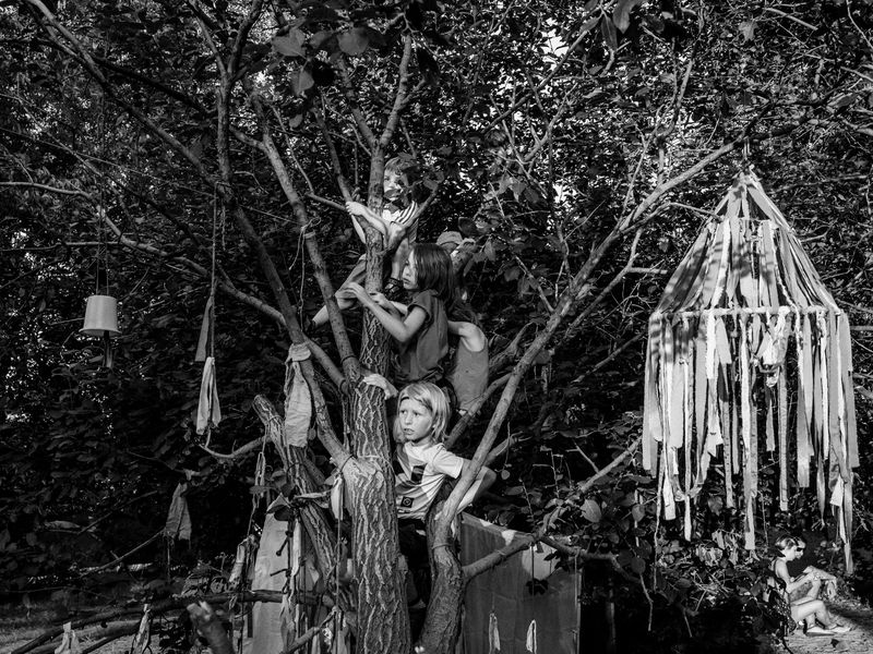 The Magic Tree | Smithsonian Photo Contest | Smithsonian Magazine