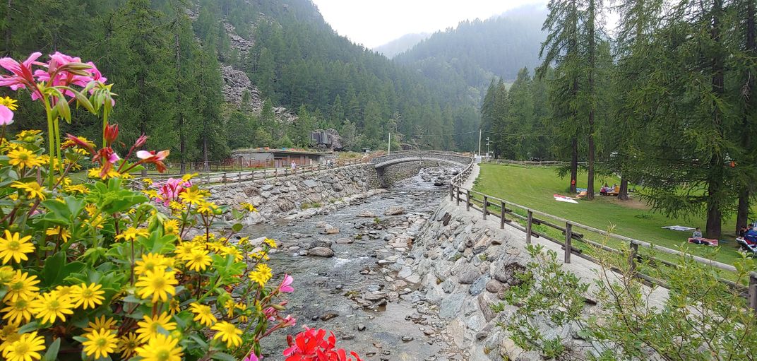 Alpine stream | Smithsonian Photo Contest | Smithsonian Magazine