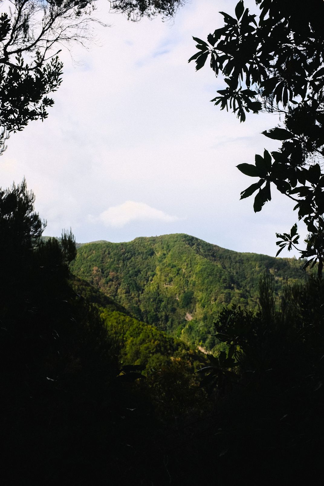 Madeiran Mountains | Smithsonian Photo Contest | Smithsonian Magazine