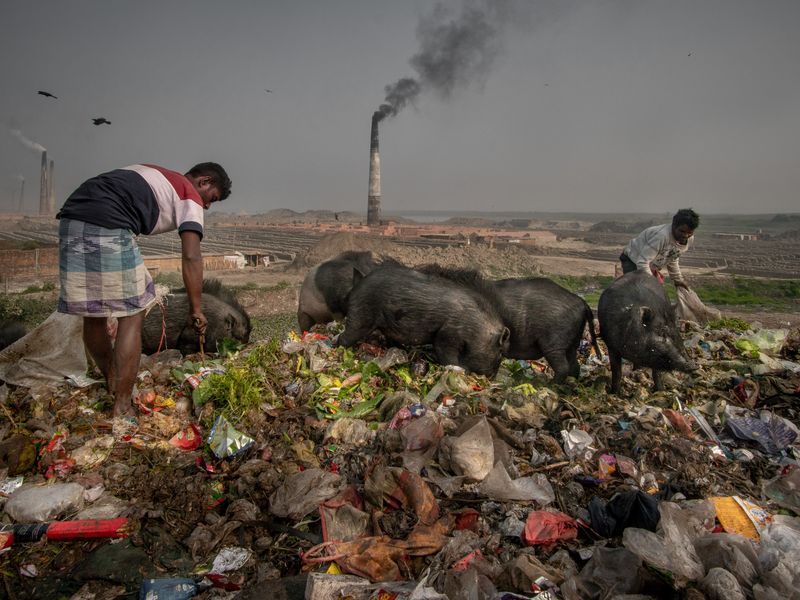 Rubbish Scavengers 6 | Smithsonian Photo Contest | Smithsonian Magazine