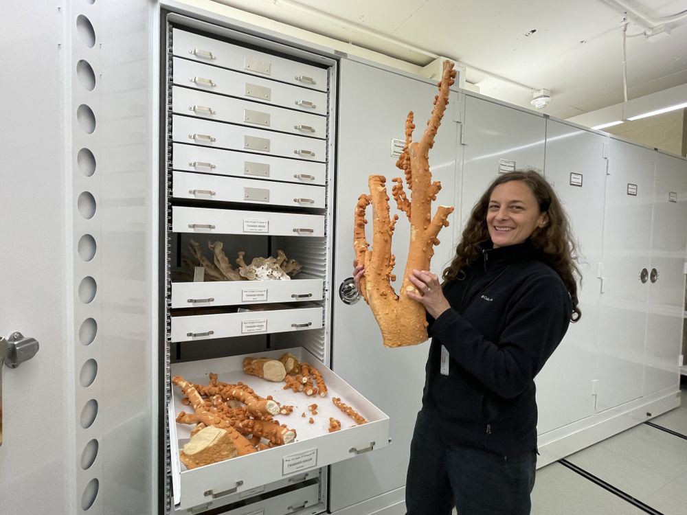 A Glowing Review: Meet the Museum Scientist Who Studies the Evolution ...