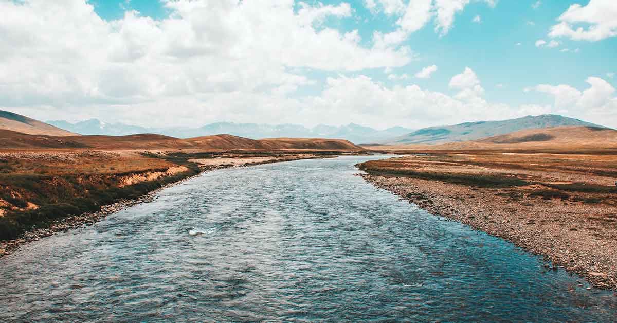 These Conservation Stories Prove 2020 Was Not All Bad News | At the ...