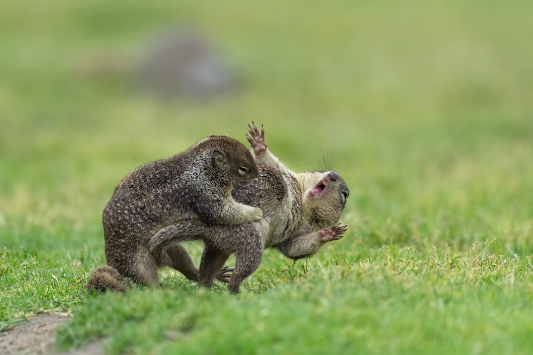 Hey! No tripping! | Smithsonian Photo Contest | Smithsonian Magazine