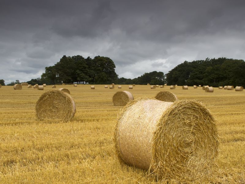 Bales | Smithsonian Photo Contest | Smithsonian Magazine