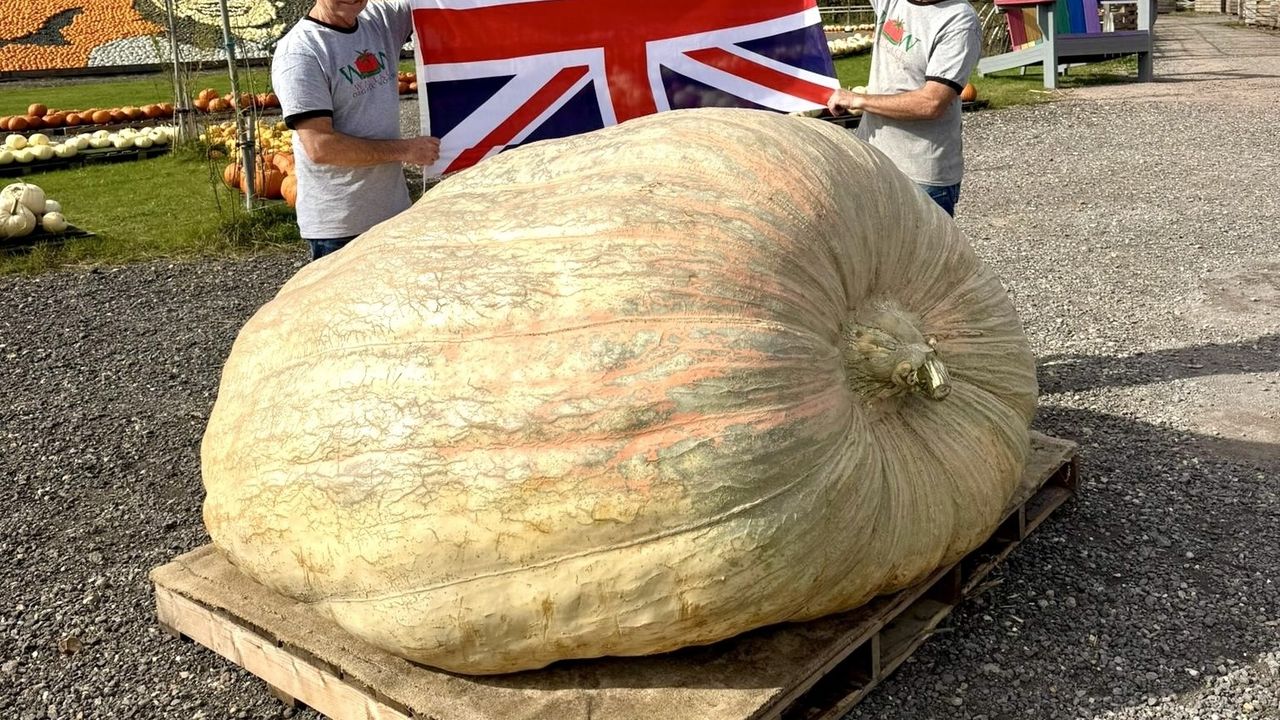 world record pumpkin uk