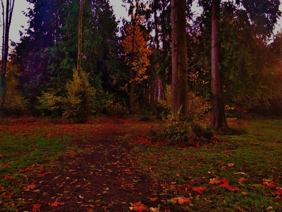 Walking to the park on a cool October day | Smithsonian Photo Contest ...