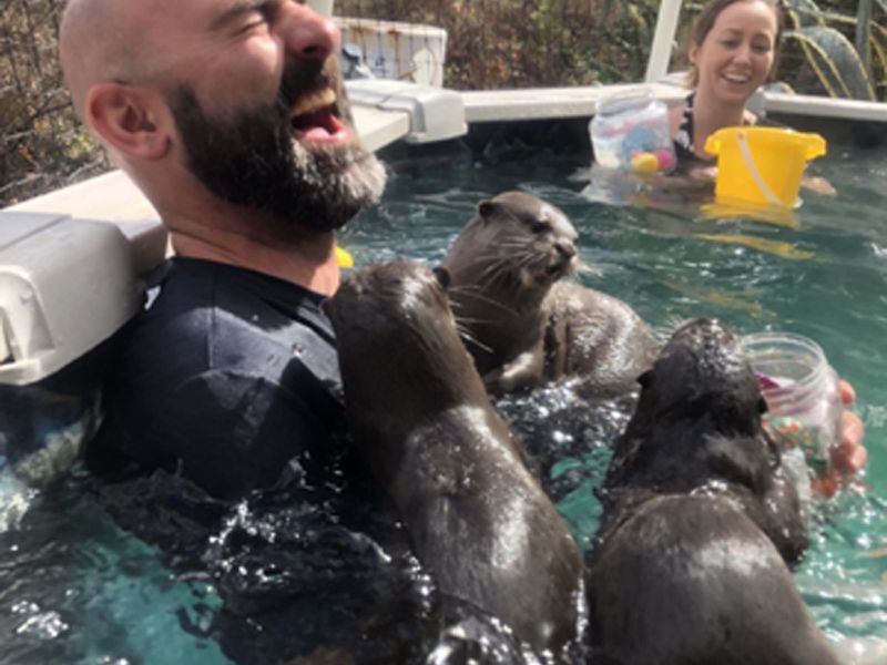 Attack of the Killer Sea Otters | Smithsonian Photo Contest ...