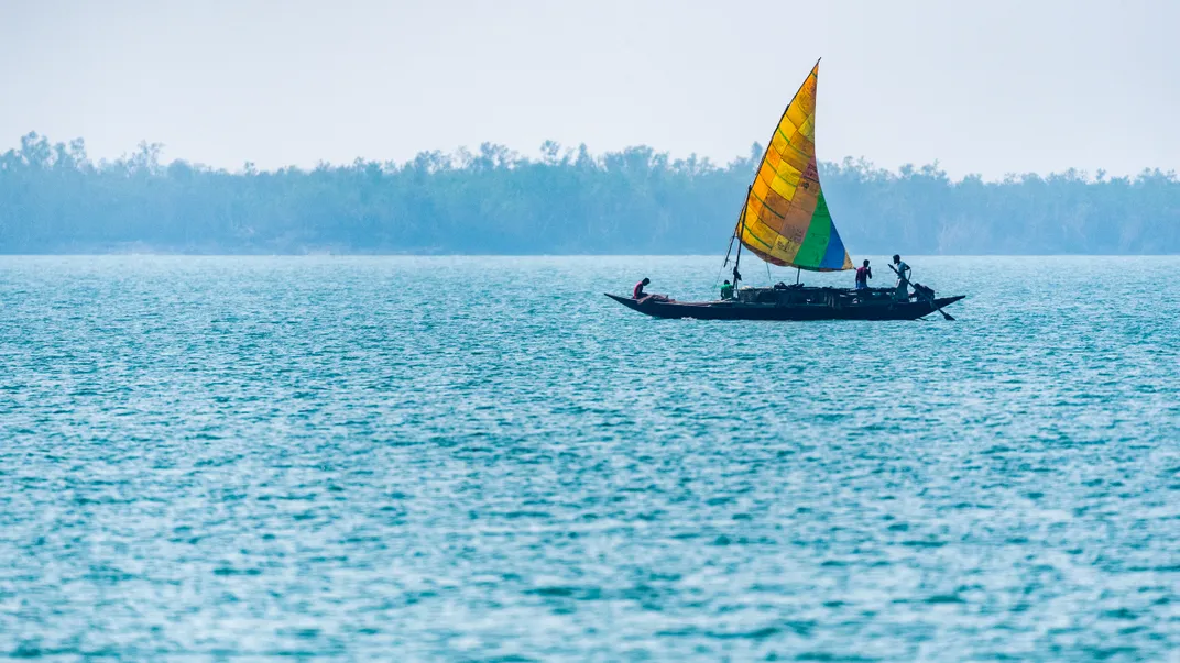 COUNTRY BOAT IN THE SUNDERBANS | Smithsonian Photo Contest ...