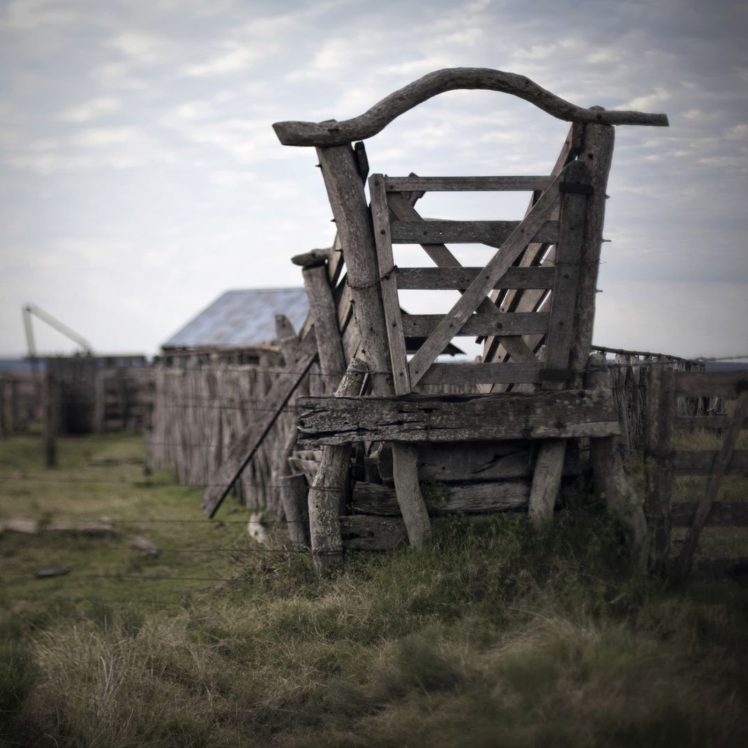 Altered Images - 2 | Smithsonian Photo Contest | Smithsonian Magazine