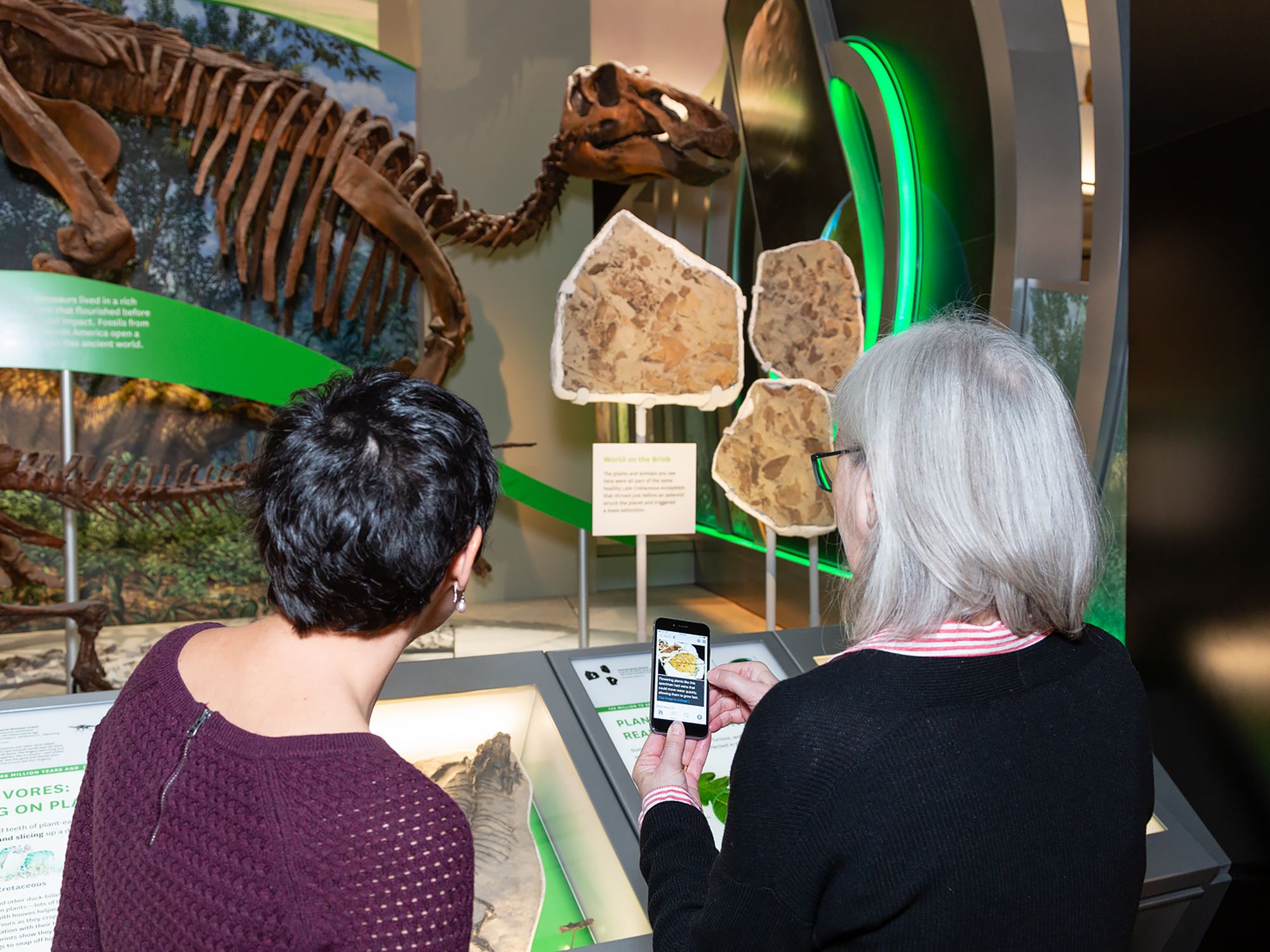 New App Takes Smithsonian Visitors Beyond Visuals | Smithsonian Voices ...