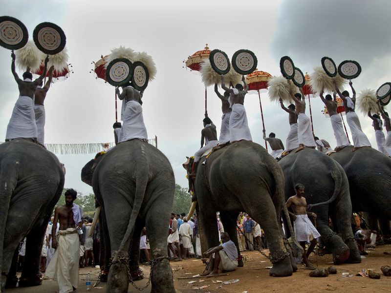 Thrissur Pooram | Smithsonian Photo Contest | Smithsonian Magazine