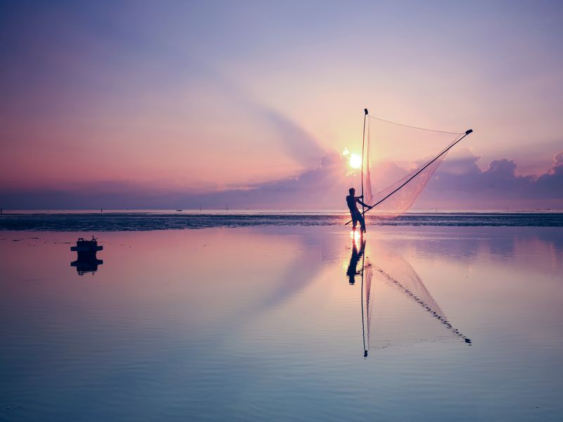 Push netting | Smithsonian Photo Contest | Smithsonian Magazine