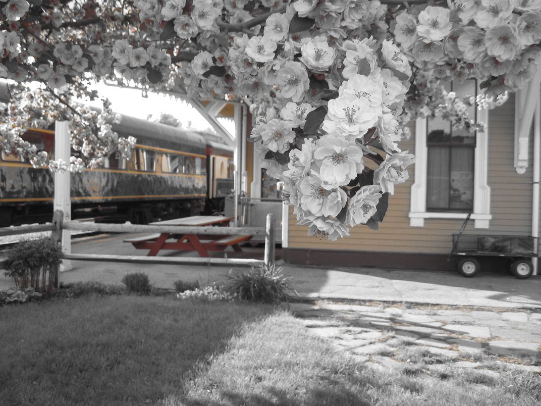 springtime travel | Smithsonian Photo Contest | Smithsonian Magazine