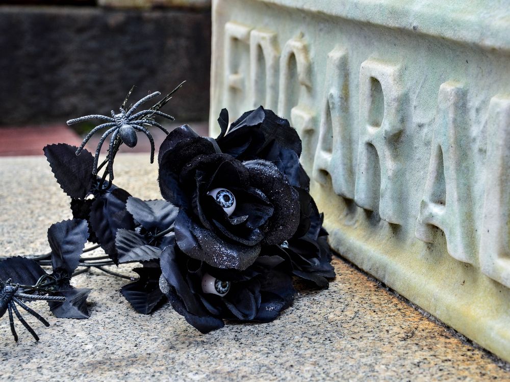 A rose for Edgar Allan Poe | Smithsonian Photo Contest | Smithsonian ...