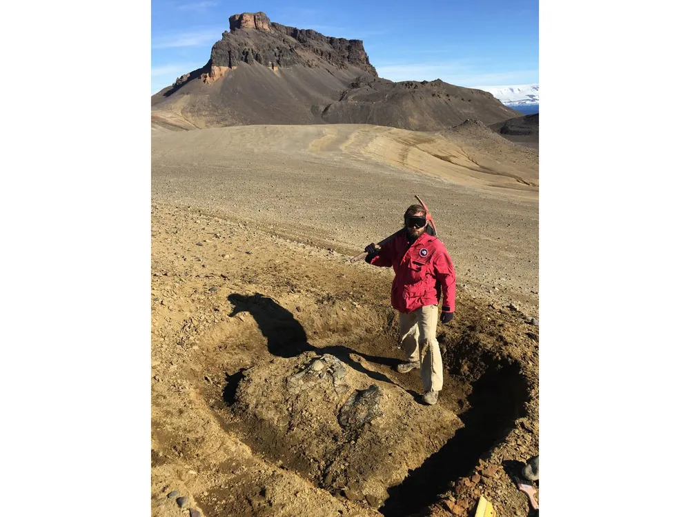 Fossil Hunters Uncover 71-Million-Year-Old Trove in Antarctica