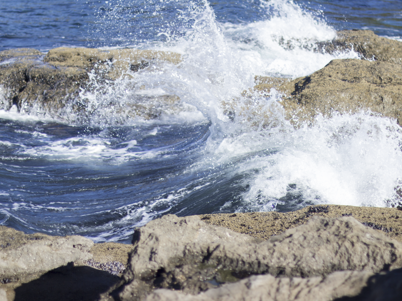 Wave Crest Curl | Smithsonian Photo Contest | Smithsonian Magazine