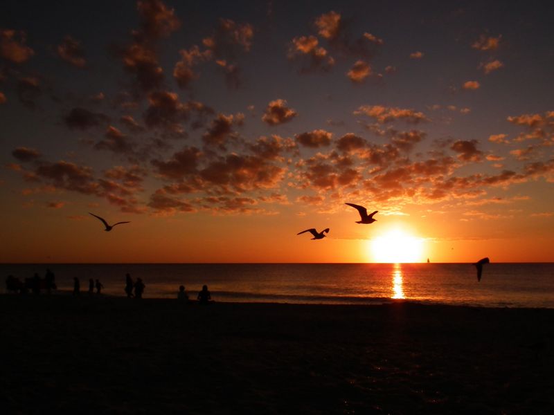 Sunset at Nokomis Beach, Nokomis, Florida. | Smithsonian Photo Contest ...