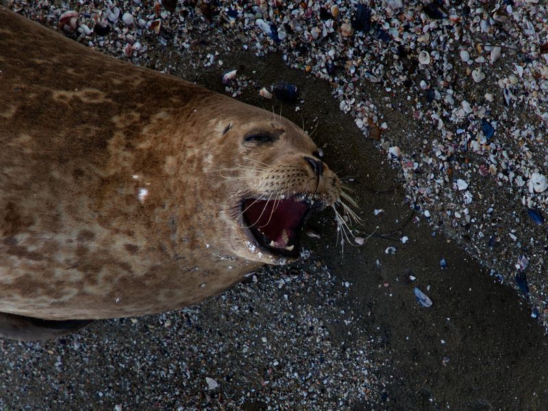 SLOL | Smithsonian Photo Contest | Smithsonian Magazine