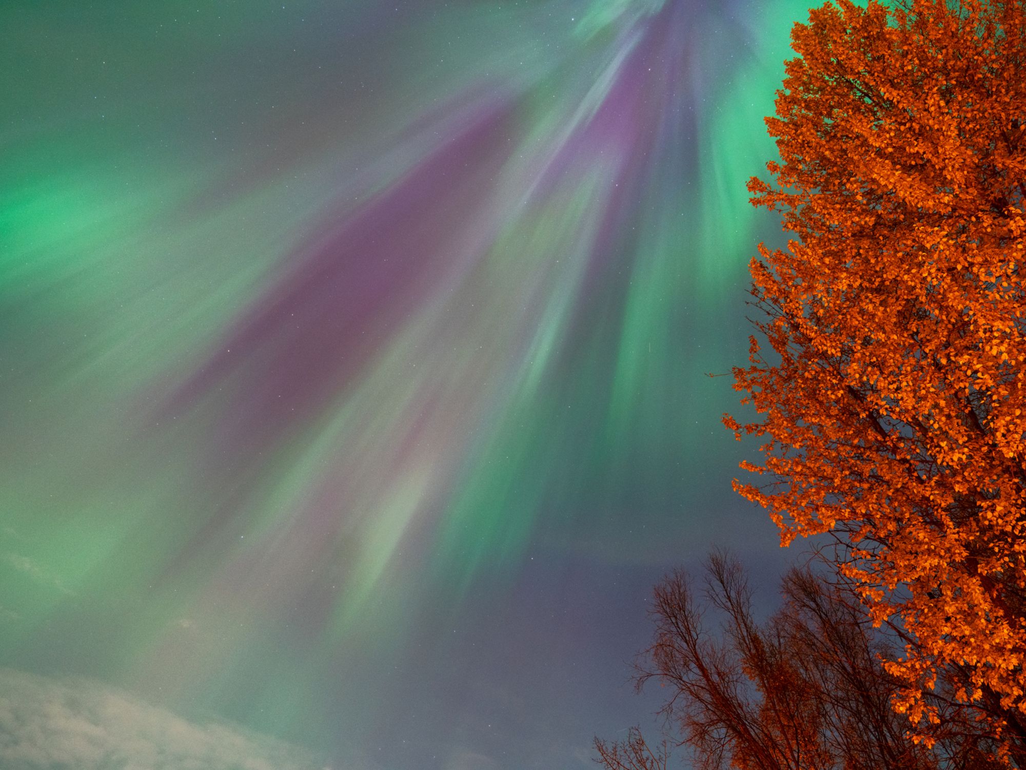 You Could See Dazzling Auroras Tonight as 'Strong' Solar Storm Hits. Here's What to Know