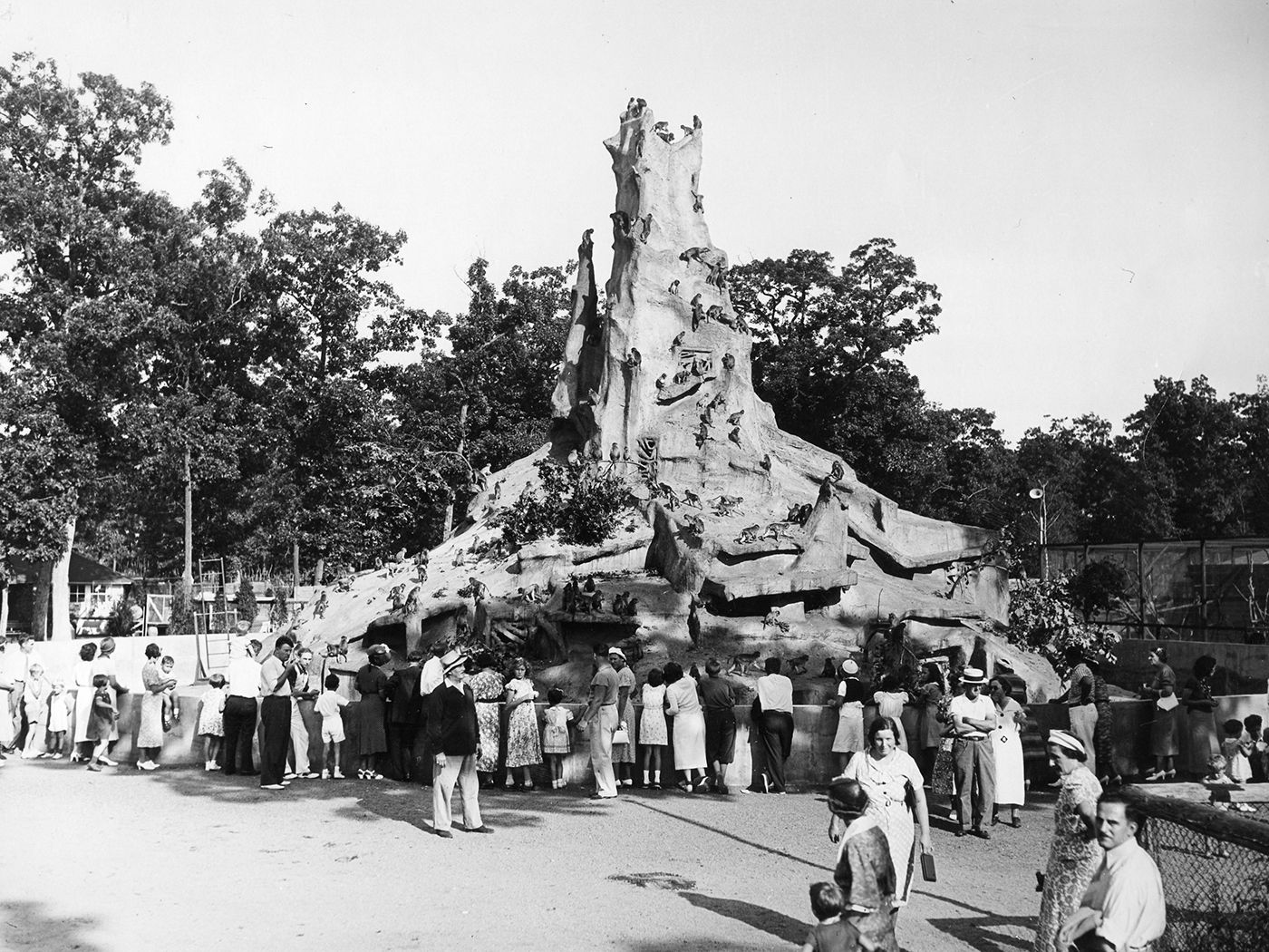When 170 Wild Monkeys Escaped From a 'Jungle Camp' and Terrorized New York