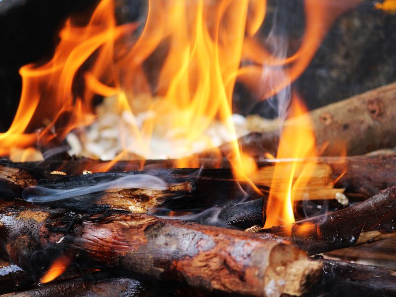 Burning to ashes | Smithsonian Photo Contest | Smithsonian Magazine