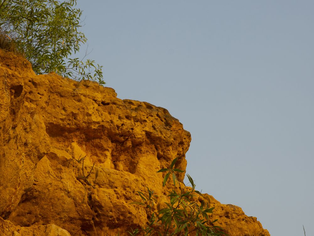Disturbed Face. | Smithsonian Photo Contest | Smithsonian Magazine