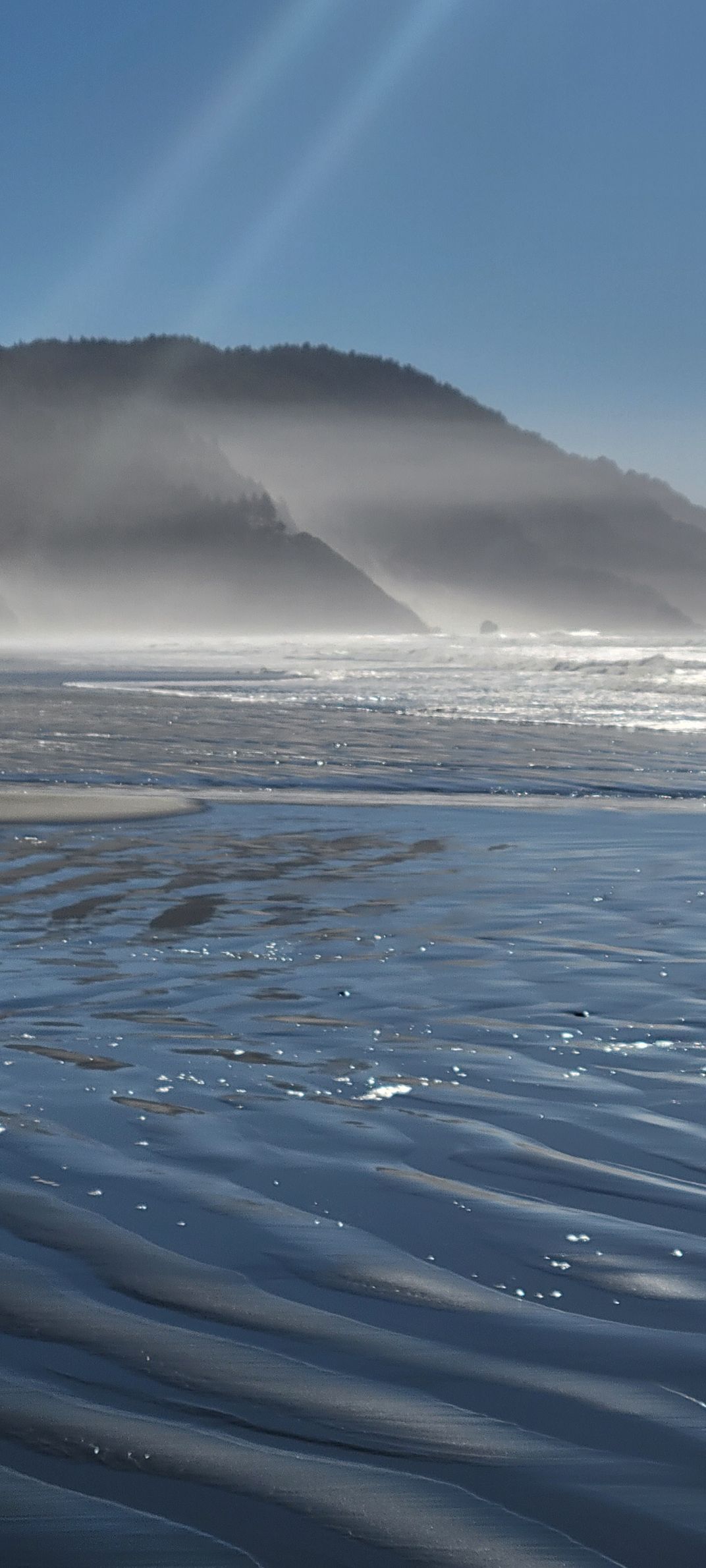 Beach the fog and the sun. The Redwoods that cover the distant ...