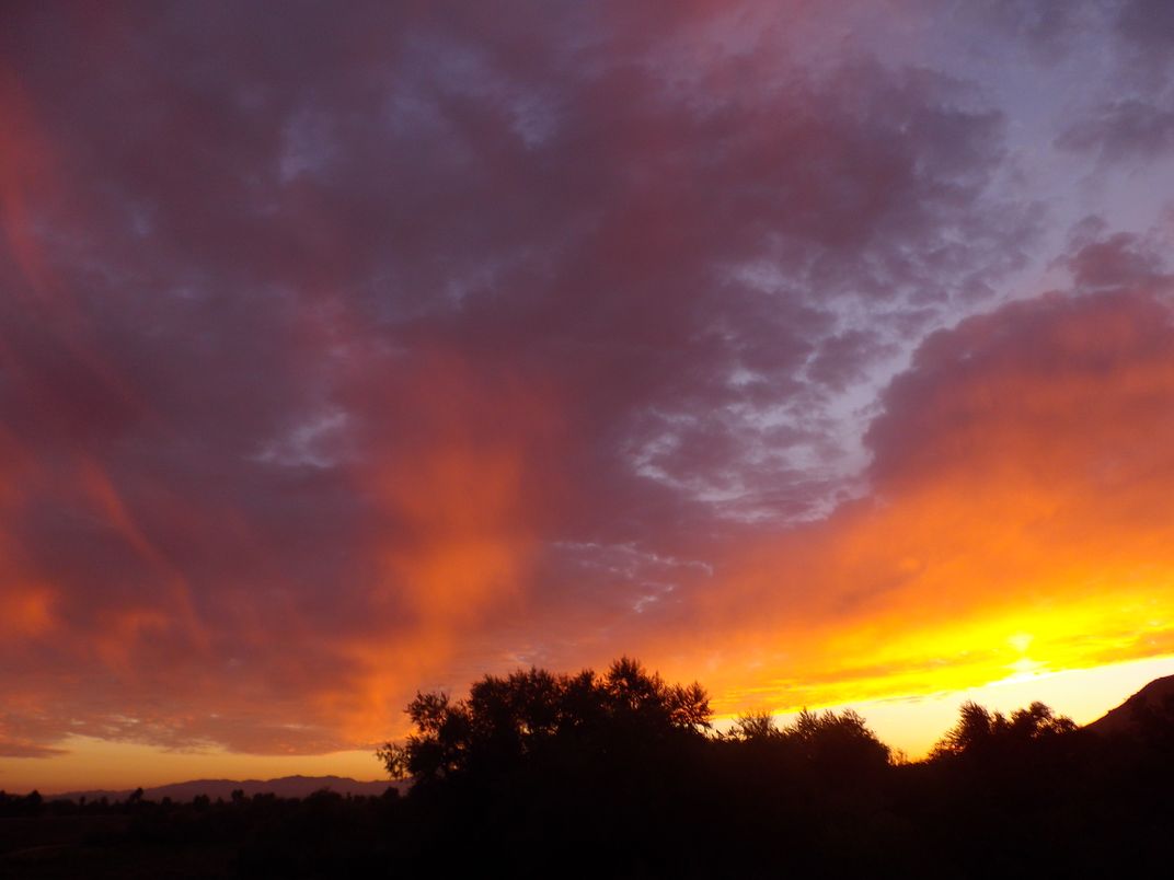 Back Fence Sunset Number One. | Smithsonian Photo Contest | Smithsonian ...