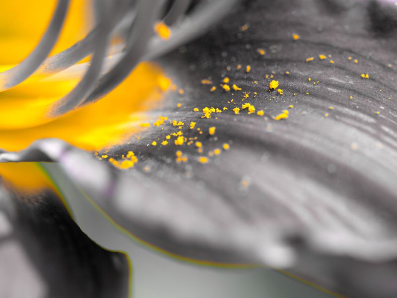 The Absence of Color.... | Smithsonian Photo Contest | Smithsonian Magazine