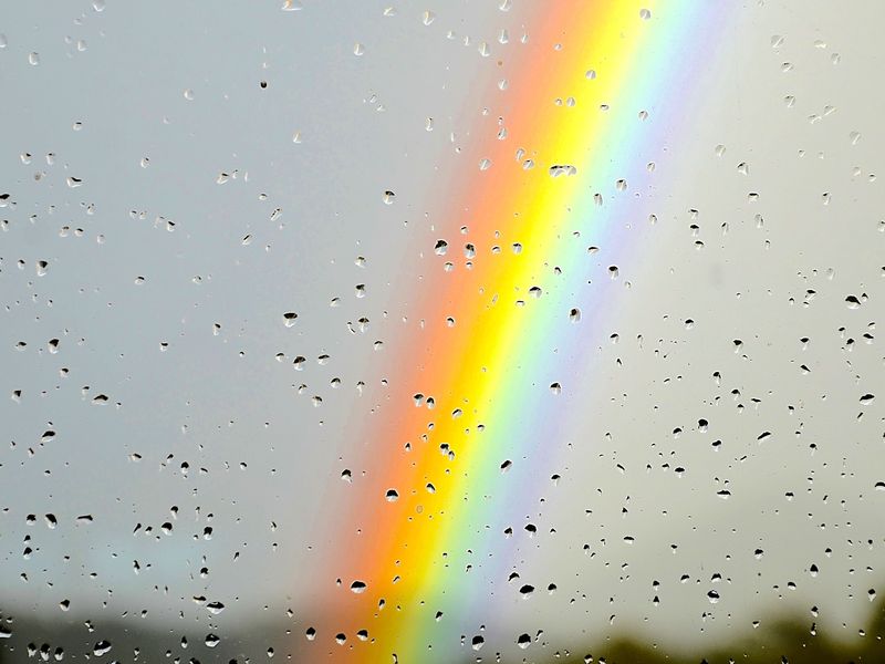Rain_bow | Smithsonian Photo Contest | Smithsonian Magazine