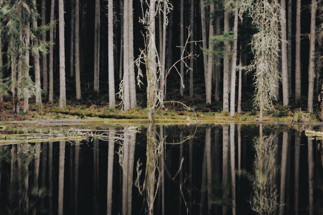 Reflections | Smithsonian Photo Contest | Smithsonian Magazine