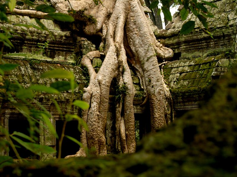 Creepy Crawly | Smithsonian Photo Contest | Smithsonian Magazine