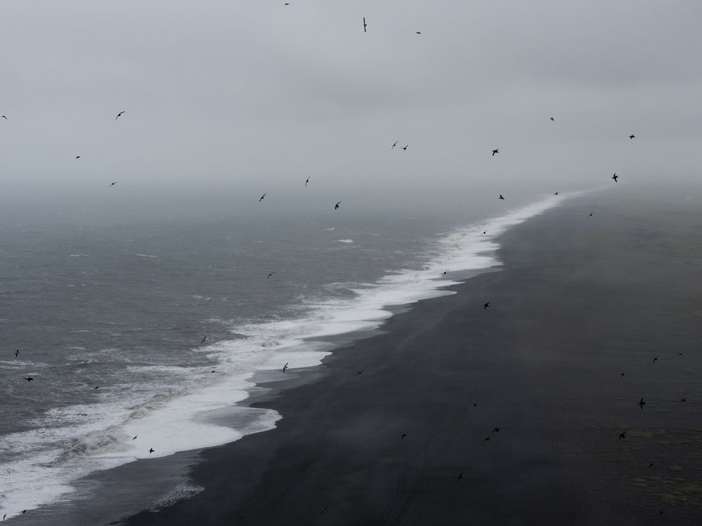 A Circus of Puffins | Smithsonian Photo Contest | Smithsonian Magazine