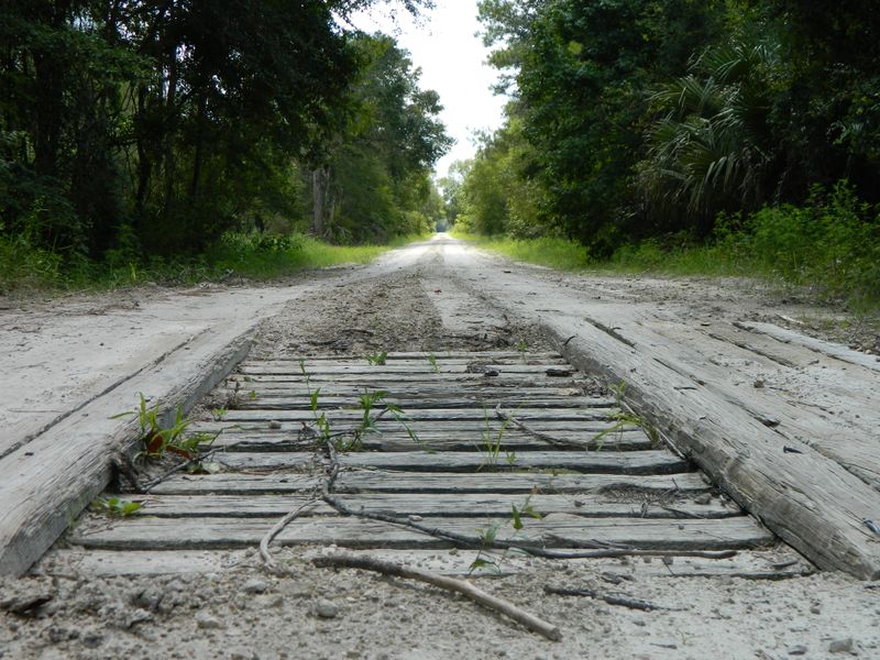 Wooden bridge down a dirt road. | Smithsonian Photo Contest ...