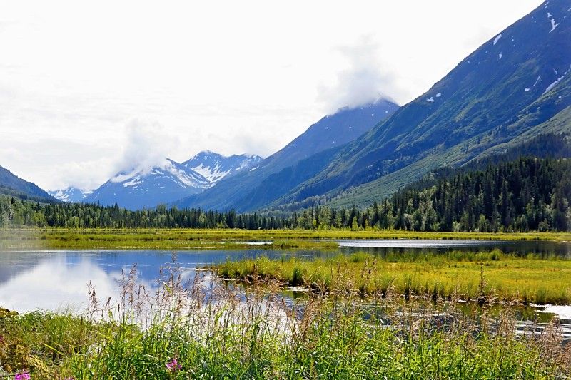 A pond and meadow in the Kenai Fjords National Park, Alaska. Taken ...
