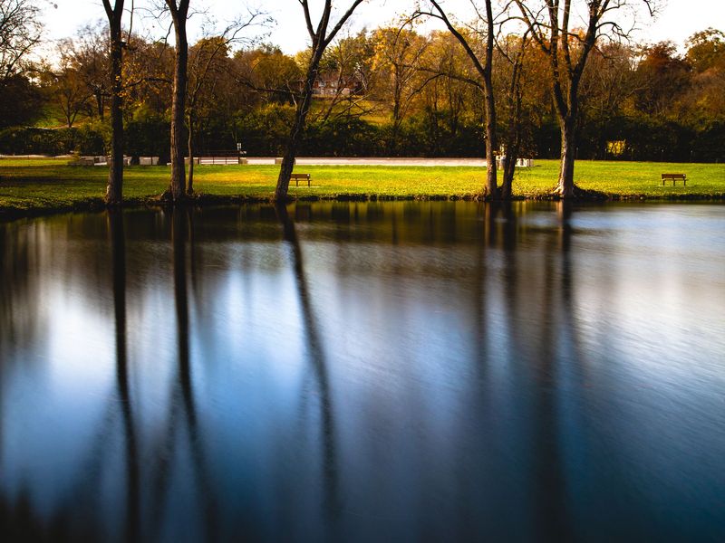 Peaceful Pond | Smithsonian Photo Contest | Smithsonian Magazine