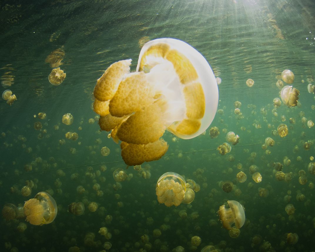 12,000 years ago, at the end of the last ice age, sea levels rose and ...