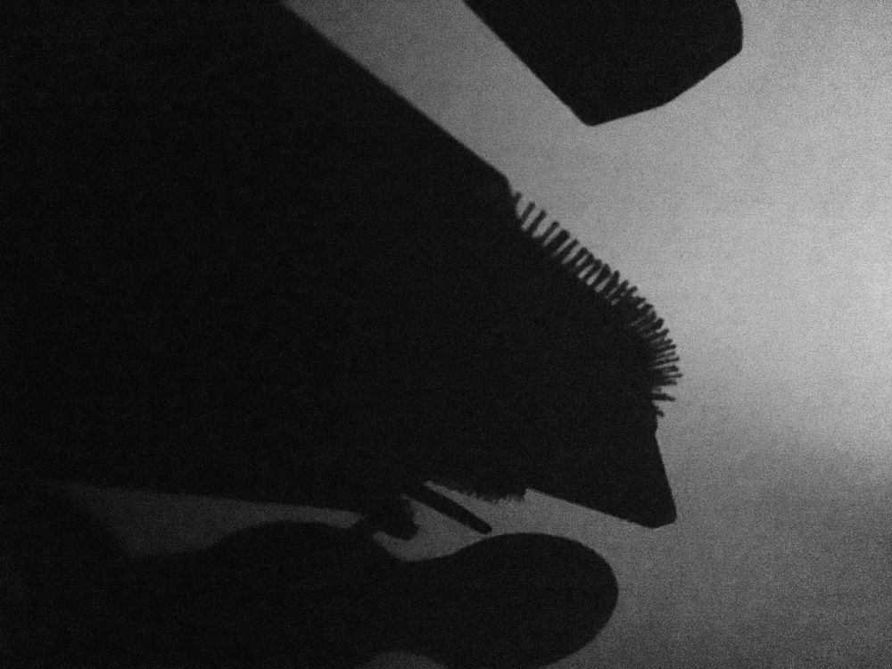 The Watching Shadow | Smithsonian Photo Contest | Smithsonian Magazine