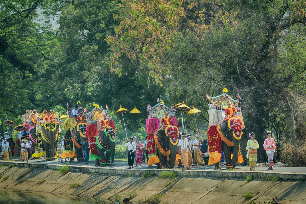 Elephants in the traditional ceremony. | Smithsonian Photo Contest ...