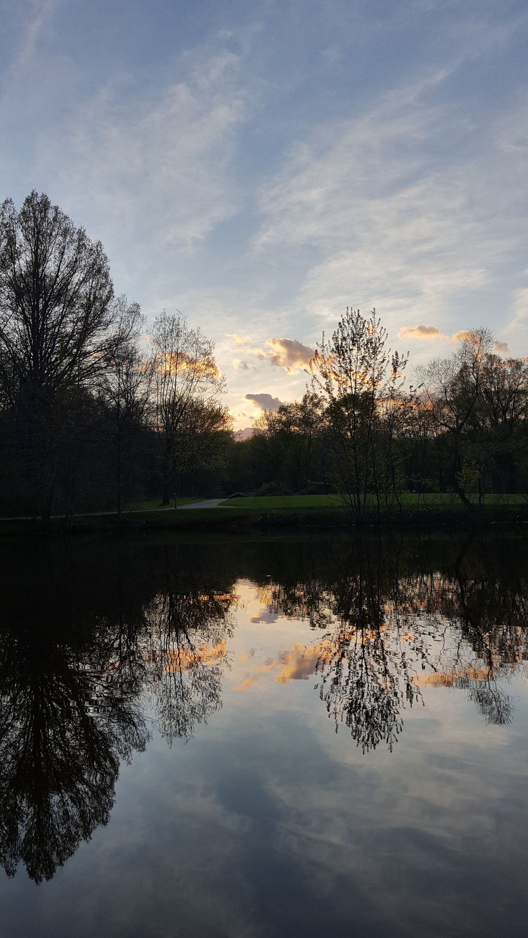 Spring shadows in the Still Water | Smithsonian Photo Contest ...