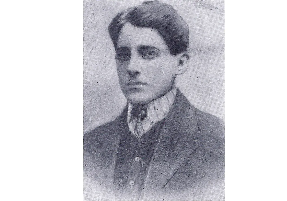 gavrilo princip interview