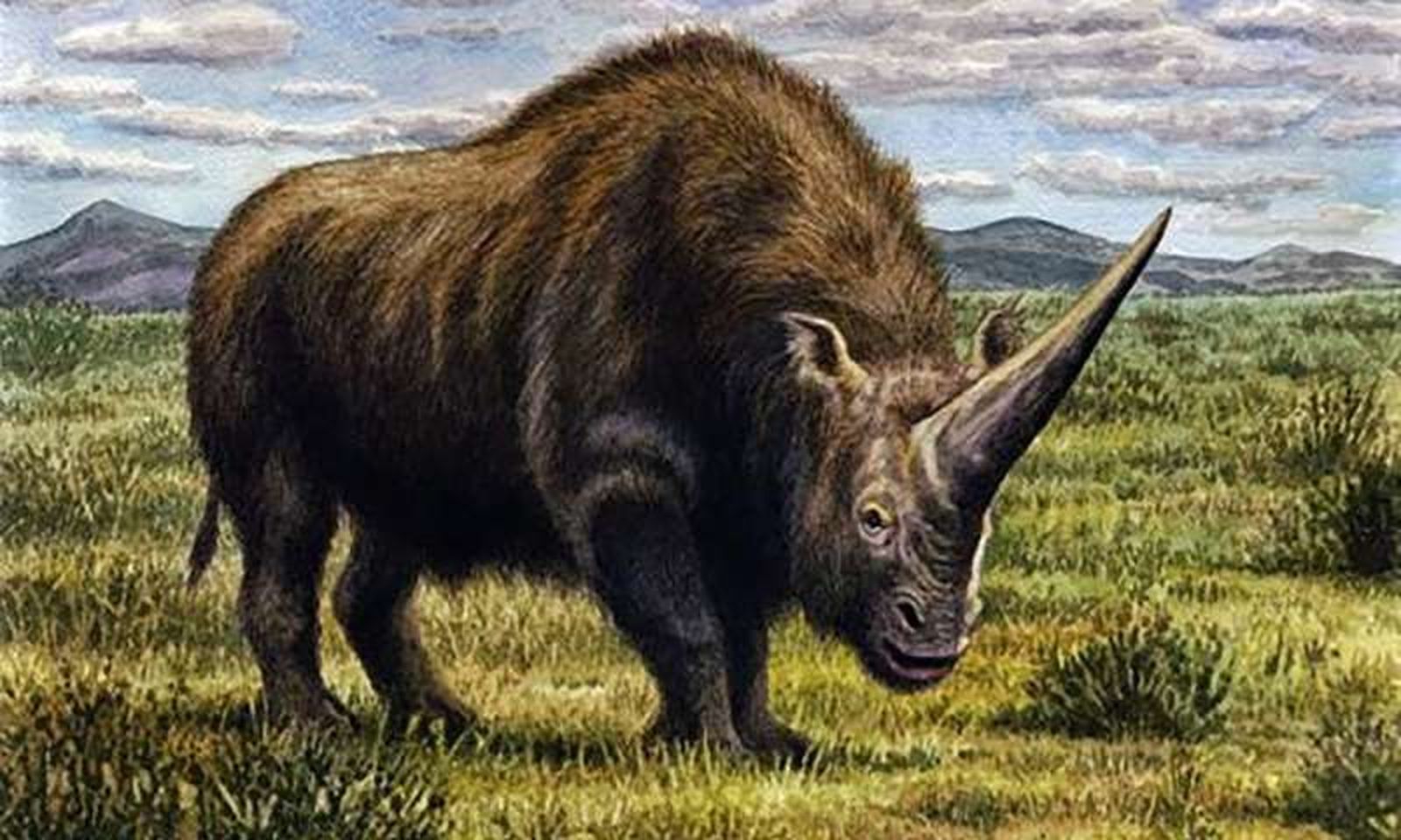 Modern Humans Emerged As Ancient 'Siberian Unicorns' Died Out—But Their ...
