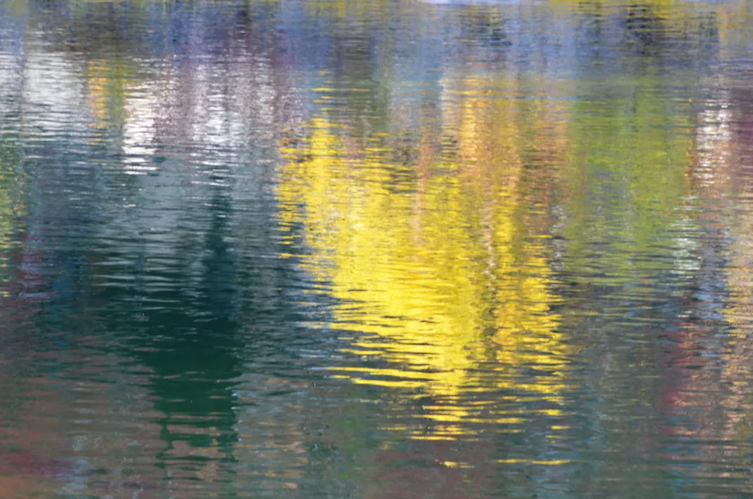 Altered by nature | Smithsonian Photo Contest | Smithsonian Magazine