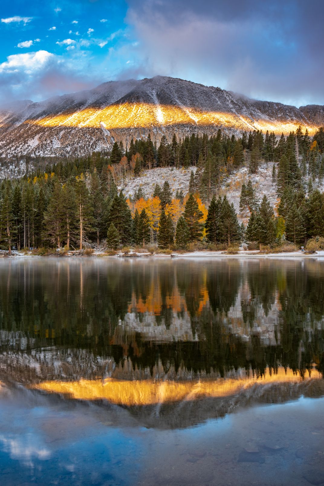 Sub Zero River of Gold | Smithsonian Photo Contest | Smithsonian Magazine