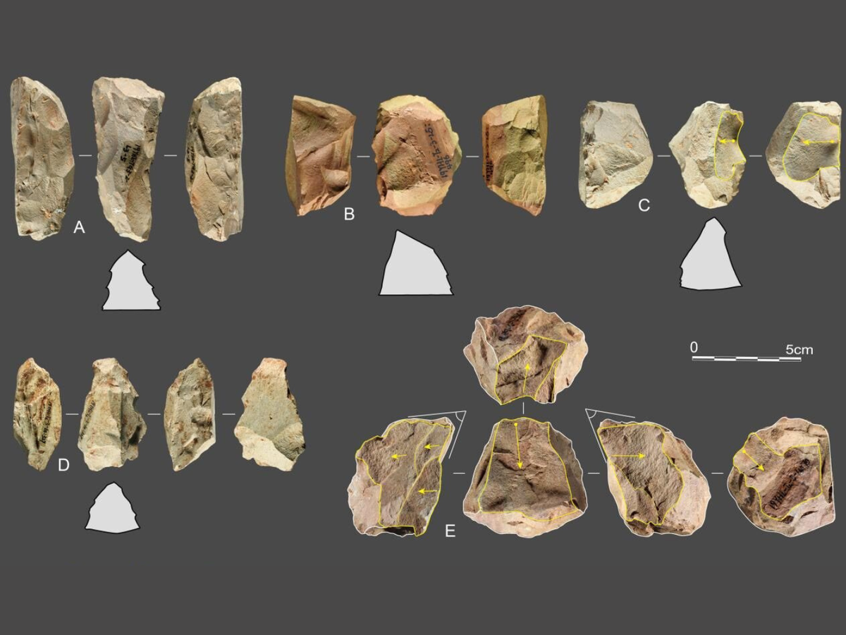paleolithic tools list